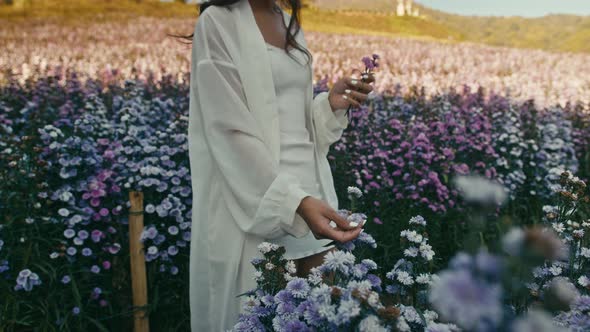 Young Asian Woman Walking and Touching Flowers in a Flower Field at ...