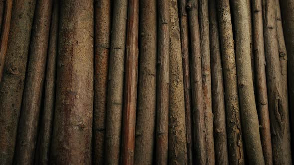 Passing Stacked Wooden Sticks, Stock Footage | VideoHive