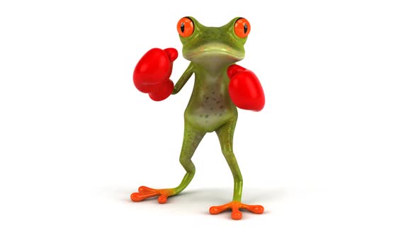 Frog boxing, Motion Graphics | VideoHive