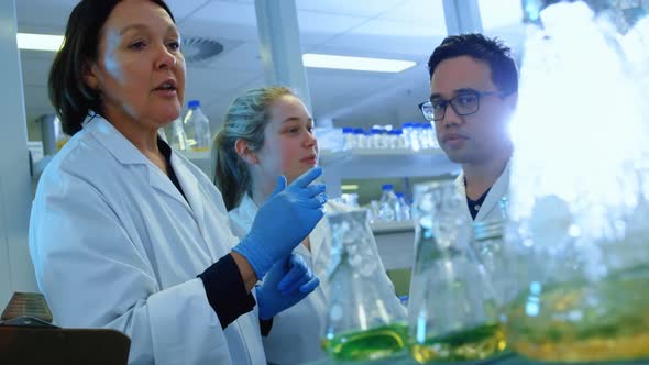 Team of scientists interacting with each other 4k, Stock Footage ...