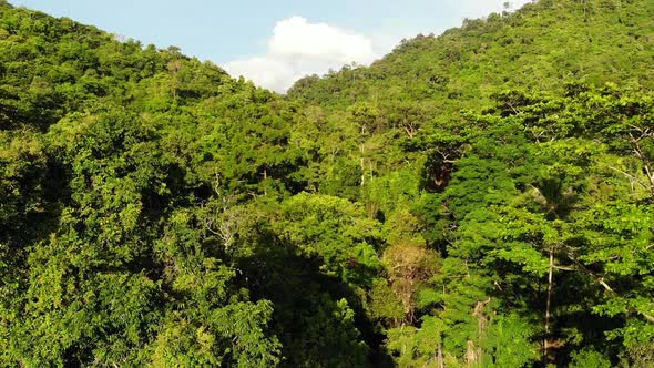 Green Jungle on Hills. Tropical Trees Growing on Hilly Terrain on Koh ...