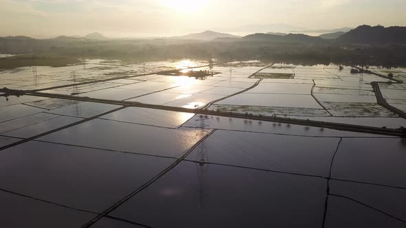 Flood paddy field aerial view. , Stock Footage | VideoHive