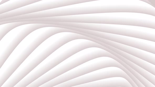 White Background, Motion Graphics | VideoHive