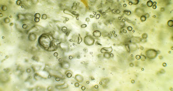 Apple under a microscope with floating germs, microbes and bacteria ...