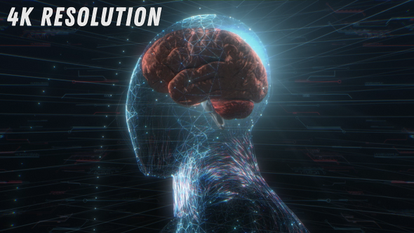 Human Brain X-Ray Pack, Motion Graphics | VideoHive