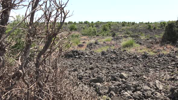 Spongy Porous Broken Basalt Plain, Stock Footage | VideoHive