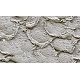 Tileable Plaster Texture, Textures | GraphicRiver