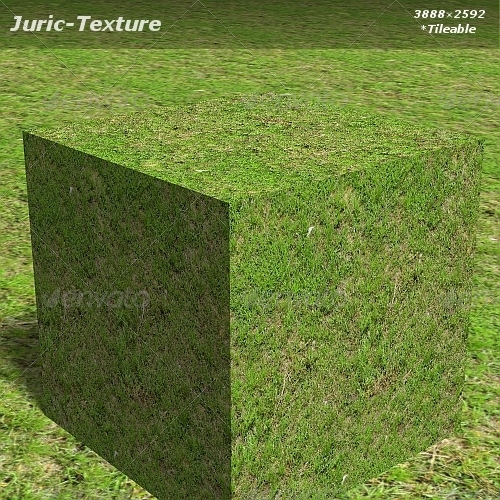 Tileable Newly Planted Grass Texture, Textures | GraphicRiver