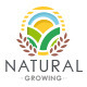Natural Growing Logo, Logo Templates | GraphicRiver