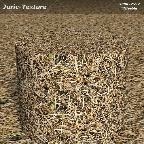 Tileable Wooden Shavings Texture, Textures | GraphicRiver
