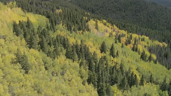 Fall foliage at Boreas Pass, CO, Stock Footage | VideoHive