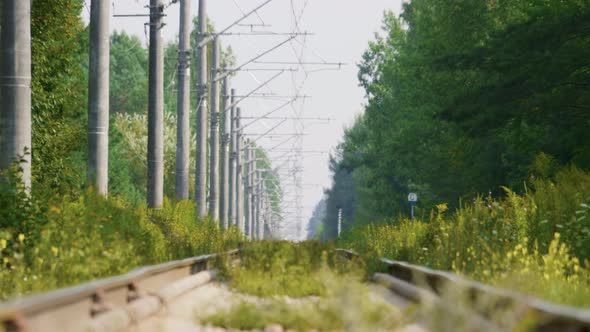 Magic Present (Image-Photo-Video Album Gallery) by drgost_ | VideoHive