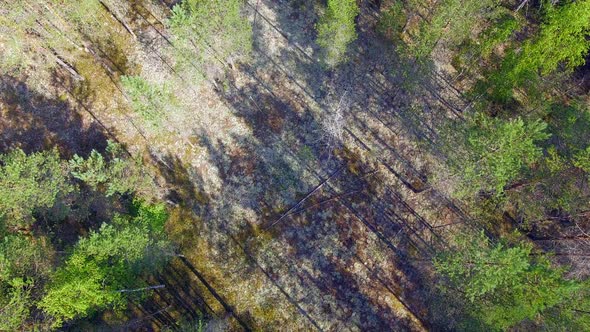 Stunning ascending drone video of a protected lichen field middle of ...