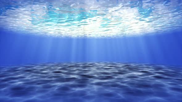 Seabed, Motion Graphics | VideoHive