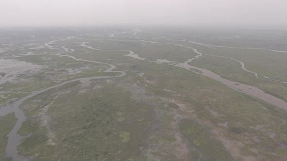 Aerial view of river affluents in Brazil, Stock Footage | VideoHive