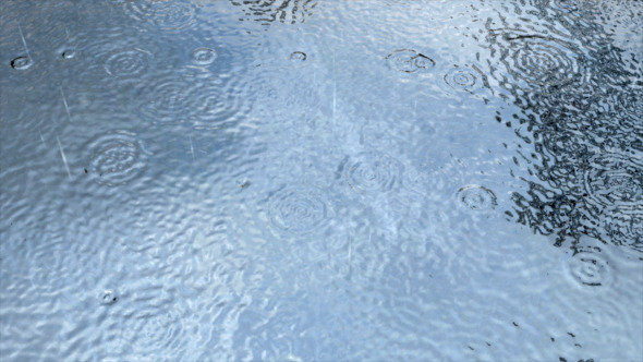 Rain and Ripple, Motion Graphics | VideoHive