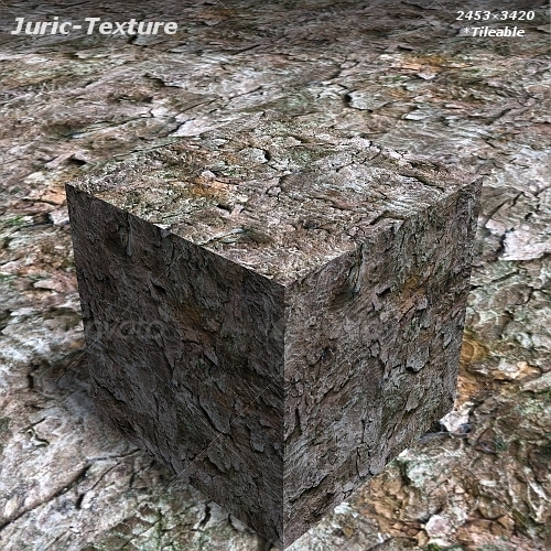 Tileable Bark Tree Texture, Textures | GraphicRiver