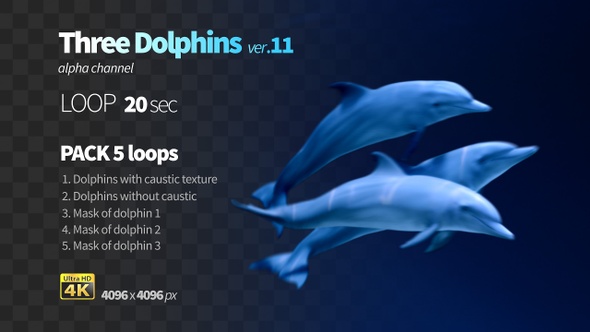 Three Dolphins 11, Motion Graphics | VideoHive