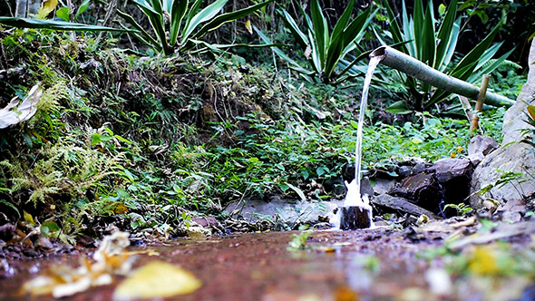 Bamboo Water Feature 03, Stock Footage | VideoHive