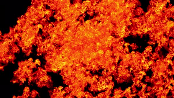 fire transitions Isolated by Alpha channel ( transparent background ...
