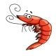 Happy Prawn or Shrimp with Curly Feelers, Vectors | GraphicRiver