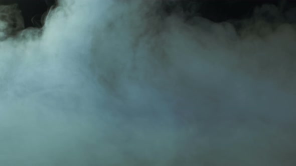 Real Fog, Stock Footage | VideoHive