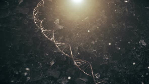 Cinematic Dna, Motion Graphics | VideoHive