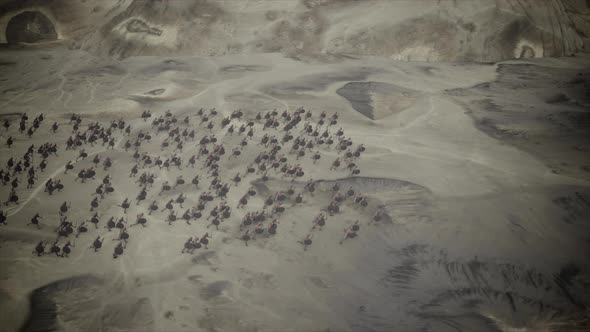 Aerial View Of An Ancient Army Charging In A Battlefield, Motion Graphics