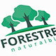 Forest Media Logo, Logo Templates | GraphicRiver