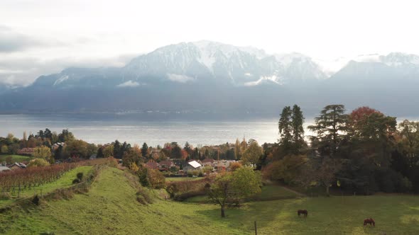 Beautiful aerial of rural Swiss town with a large lake and mountain in ...