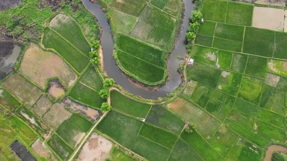 Aerial view green field Top down view background, Stock Footage | VideoHive