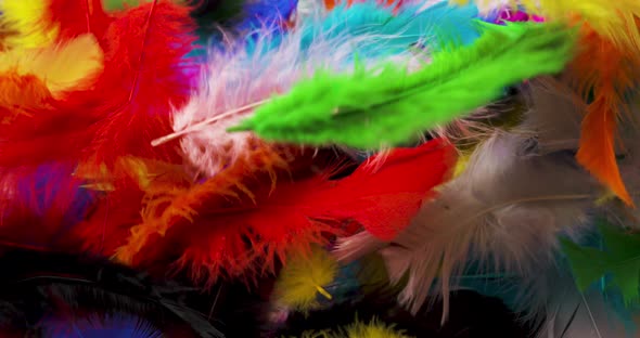 Brightly colored feathers gently falling into a heap., Stock Footage