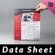 Corporate Data Sheet Template, Print Templates | GraphicRiver