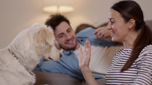 Dog high fiving with young woman while boyfriend is lying on couch ...