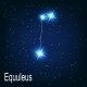 The Constellation Equuleus, Vectors | GraphicRiver