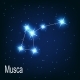 The Constellation Musca, Vectors | GraphicRiver
