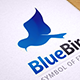 Blue Flying Bird Logo Template, Logo Templates | GraphicRiver