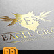 Eagle Group, Logo Templates | GraphicRiver