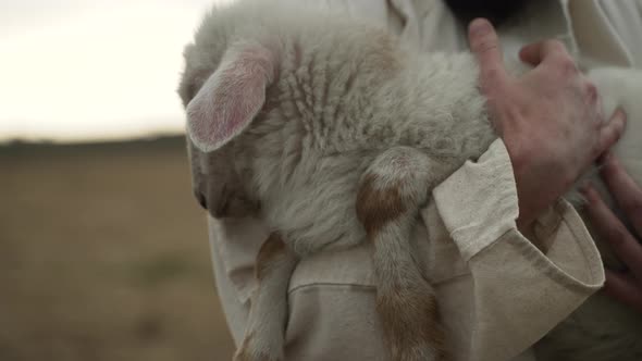 Sheep, Shepherd, Jesus, Lamb, Christian, Stock Footage | VideoHive