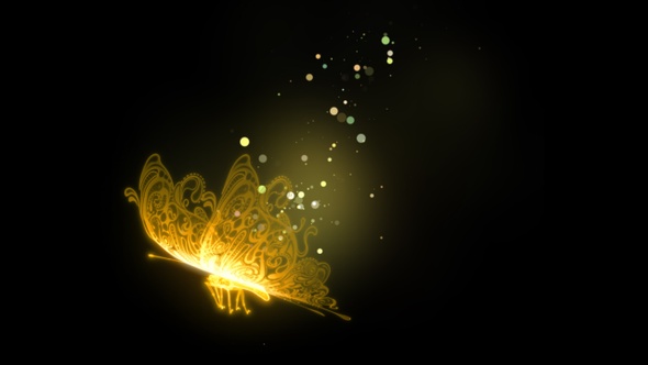 Butterfly 01 Particles Golden, Motion Graphics | VideoHive