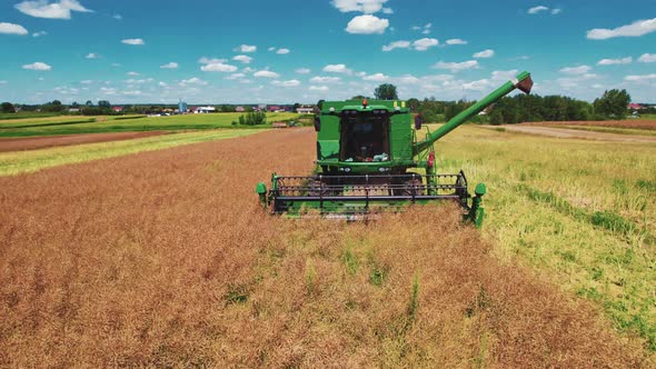Combine Harvester Harvesting in the Field, Stock Footage | VideoHive