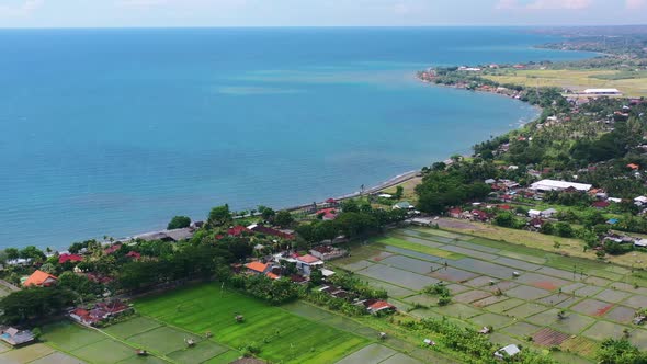 shoreline beach with rice fields near Lovina in north bali on sunny day ...