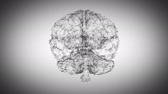 Brain Rotation, Motion Graphics | VideoHive