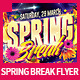Spring Break & Summer Party Flyer, Print Templates | GraphicRiver