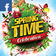 Spring Celebration Facebook Timeline, Web Elements | GraphicRiver