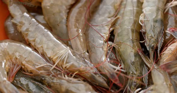 Fresh uncooked shrimp, Stock Footage | VideoHive