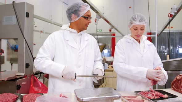 Team of butchers working, Stock Footage | VideoHive