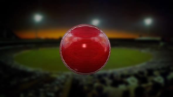 Ball Cricket, Motion Graphics | VideoHive