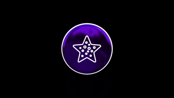 Icon Starfish, Motion Graphics | VideoHive