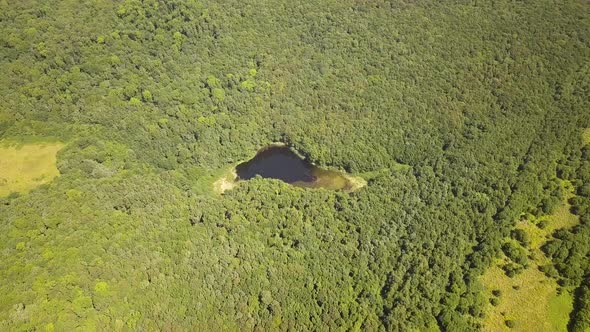 Aerial view of a small forest lake in the middle of green dense woods ...